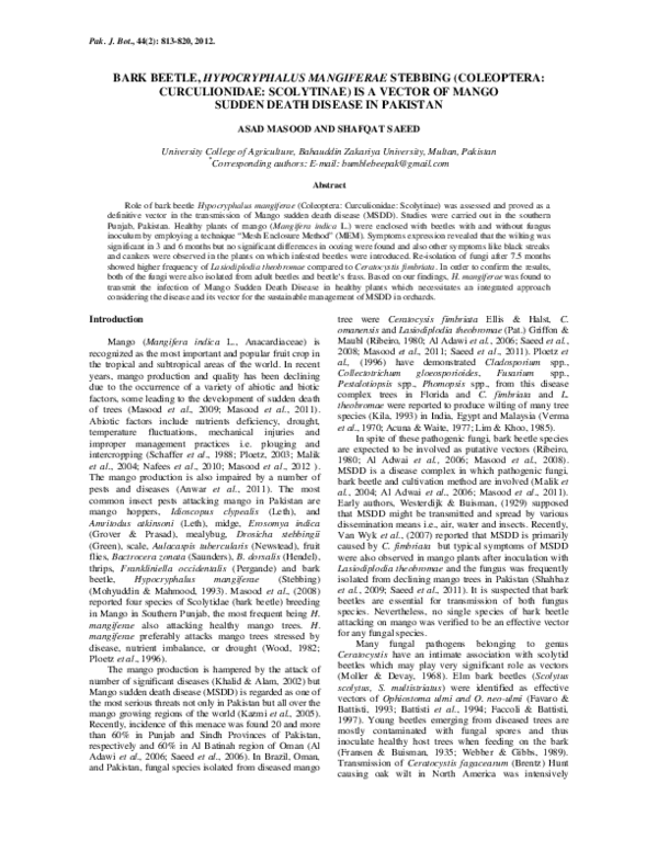 (PDF) Bark Beetle, Hypocryphalus Mangiferae Stebbing (Coleoptera ...