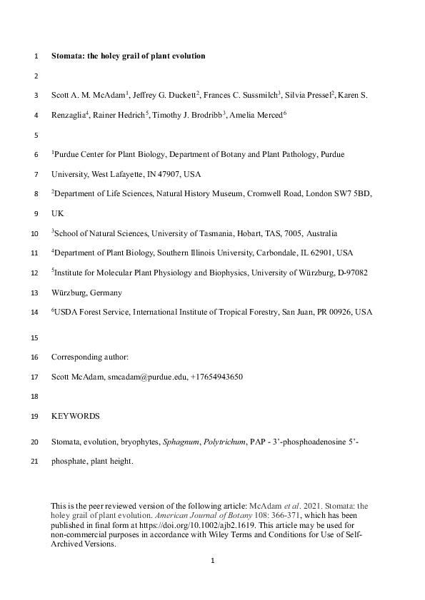 (PDF) Stomata: the holey grail of plant evolution