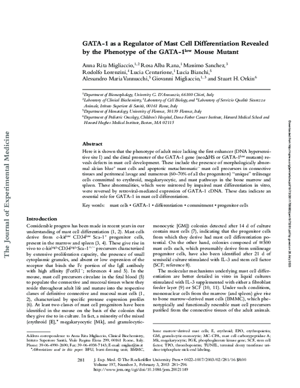 (PDF) GATA-1 as a Regulator of Mast Cell Differentiation Revealed by ...