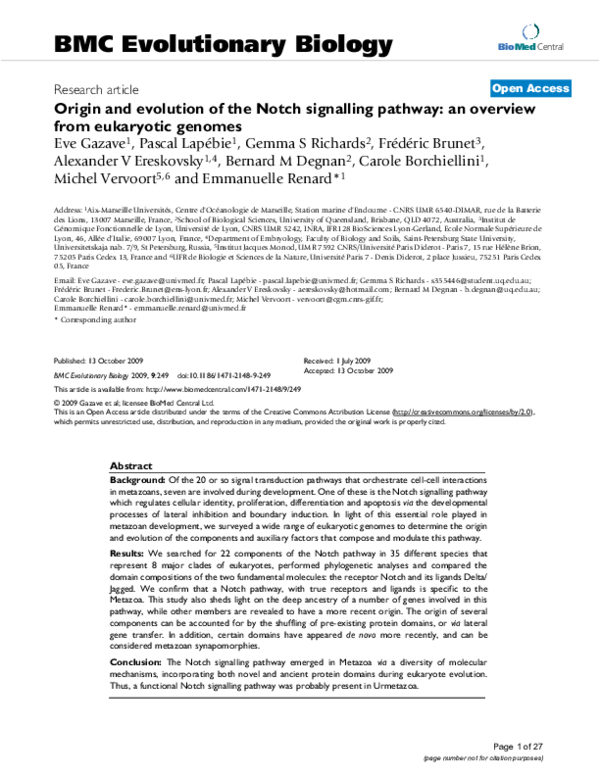 (PDF) Origin and evolution of the Notch signalling pathway: an overview ...