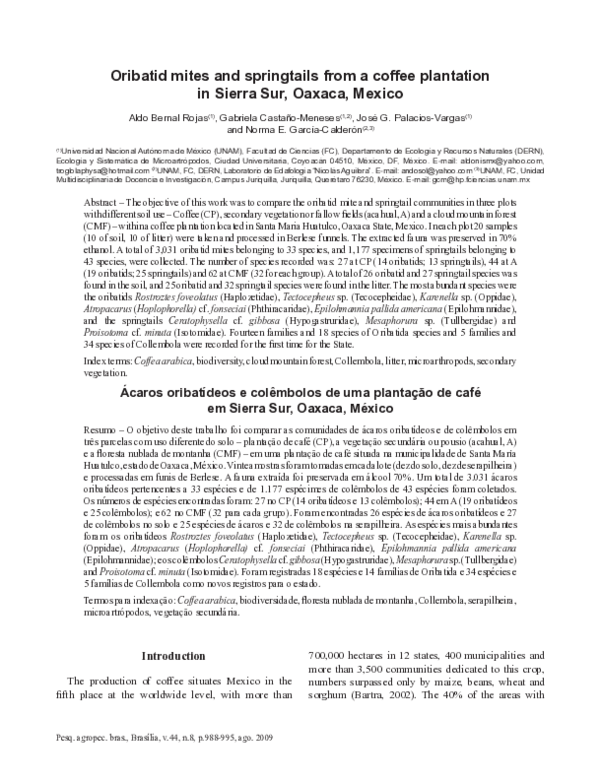 (PDF) Oribatid mites and springtails from a coffee plantation in Sierra ...
