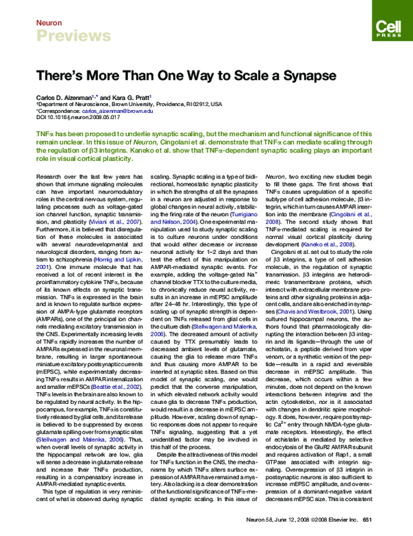 (PDF) There's More Than One Way to Scale a Synapse