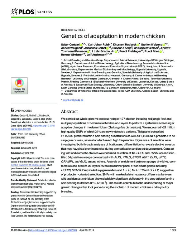 (PDF) Genetics of adaptation in modern chicken