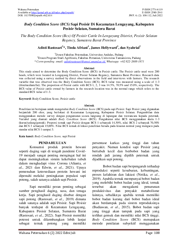 (PDF) Body Condition Score (BCS) Sapi Pesisir Di Kecamatan Lengayang ...