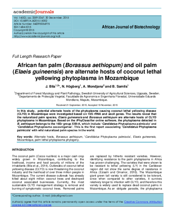 (PDF) African fan palm (Borassus aethiopum) and oil palm (Elaeis ...