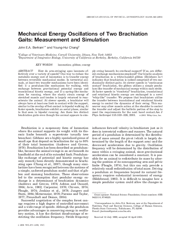 (PDF) Mechanical energy oscillations of two brachiation gaits ...