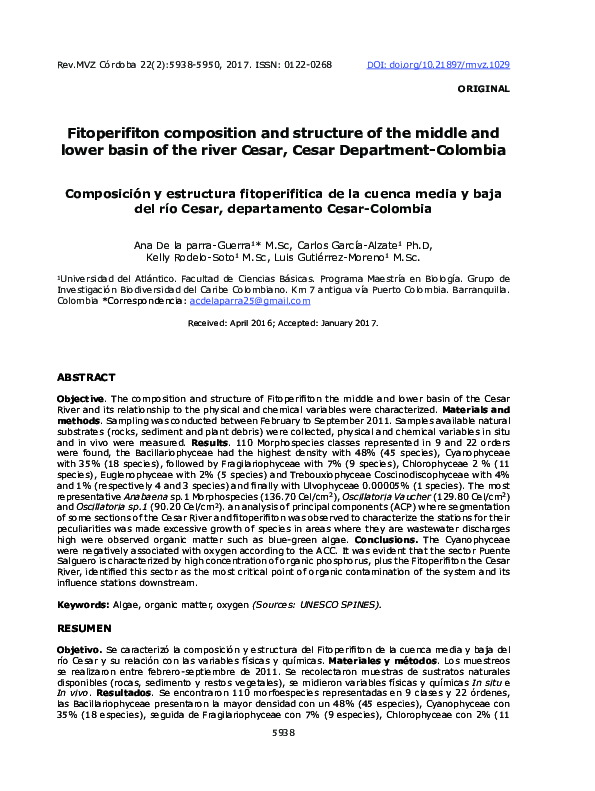 (PDF) Composición y estructura fitoperifitica de la cuenca media y baja ...