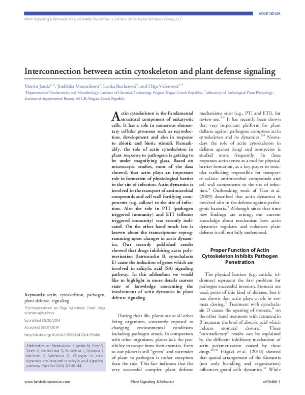 (PDF) Interconnection between actin cytoskeleton and plant defense ...