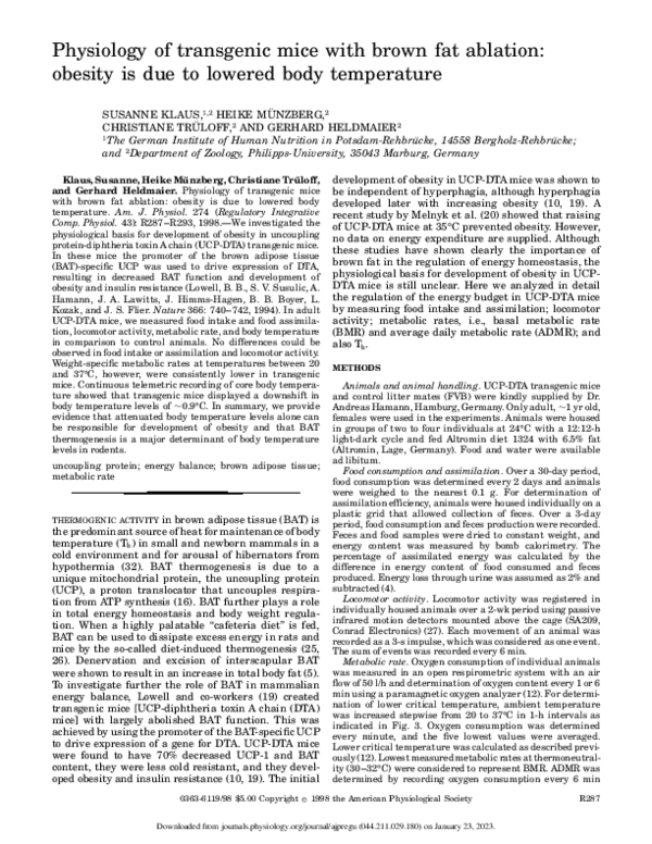 (PDF) Physiology of transgenic mice with brown fat ablation: obesity is ...