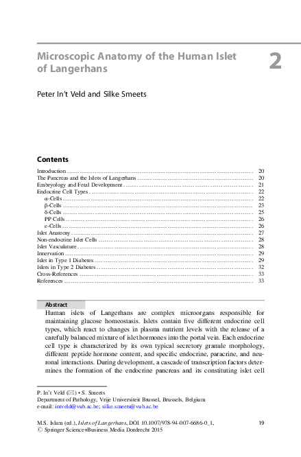 (PDF) Microscopic Anatomy of the Human Islet of Langerhans