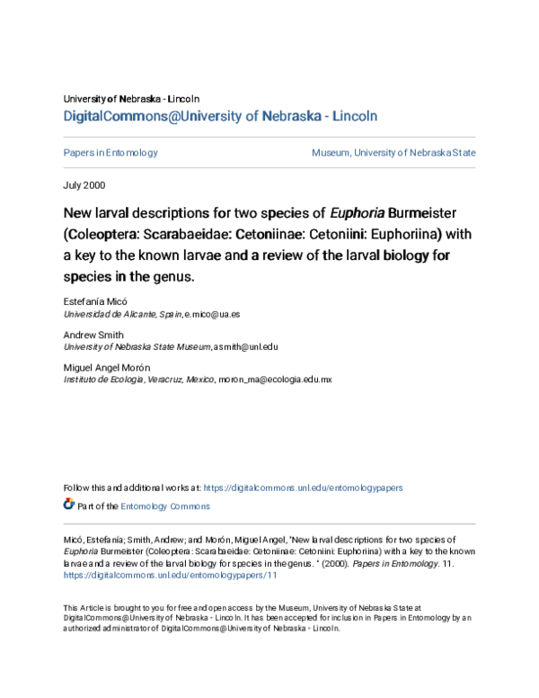 (PDF) New larval descriptions for two species of Euphoria Burmeister ...