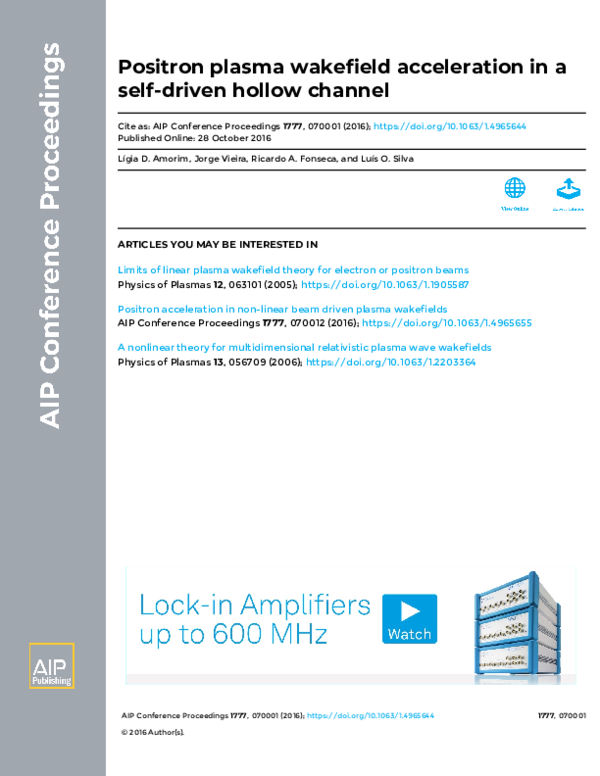 (PDF) Positron plasma wakefield acceleration in a self-driven hollow channel