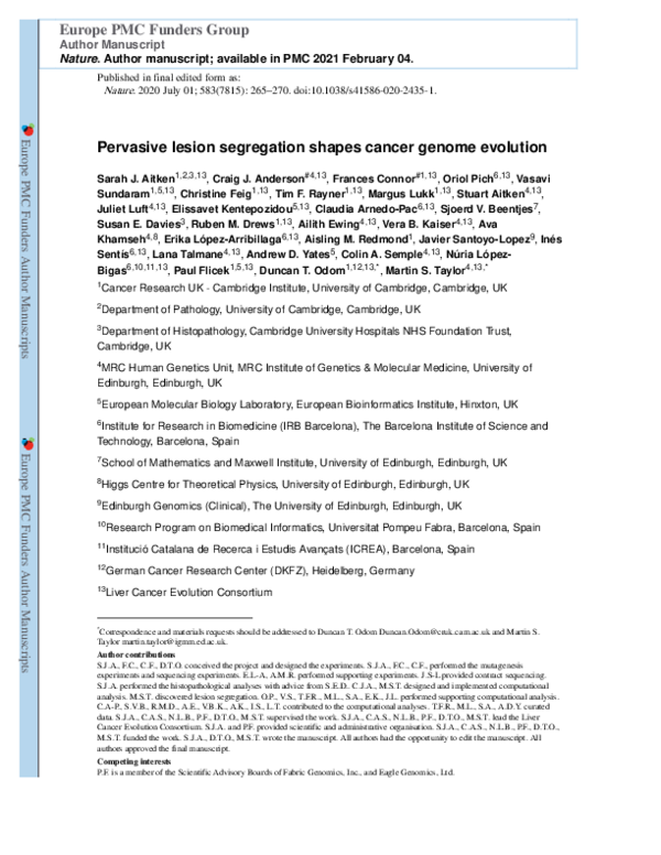 (PDF) Pervasive lesion segregation shapes cancer genome evolution