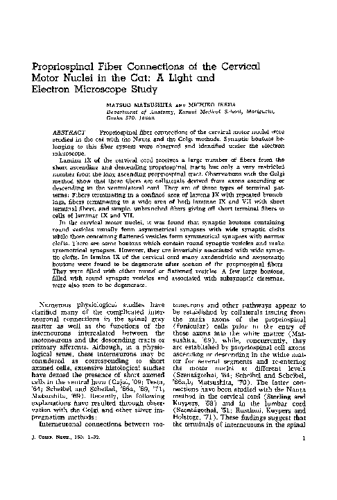 (PDF) Propriospinal fiber connections of the cervical motor nuclei in ...