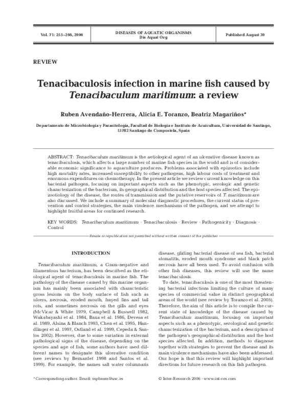 (PDF) Tenacibaculosis infection in marine fish caused by Tenacibaculum ...