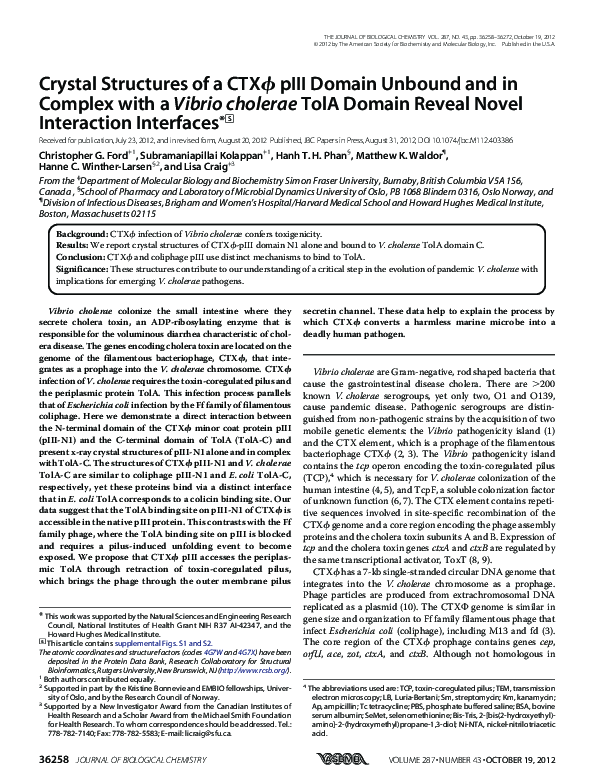 (PDF) Crystal Structures of a CTXφ pIII Domain Unbound and in Complex ...