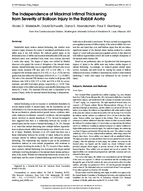 (PDF) Intimal Thickening in Rabbit Aorta Injuries