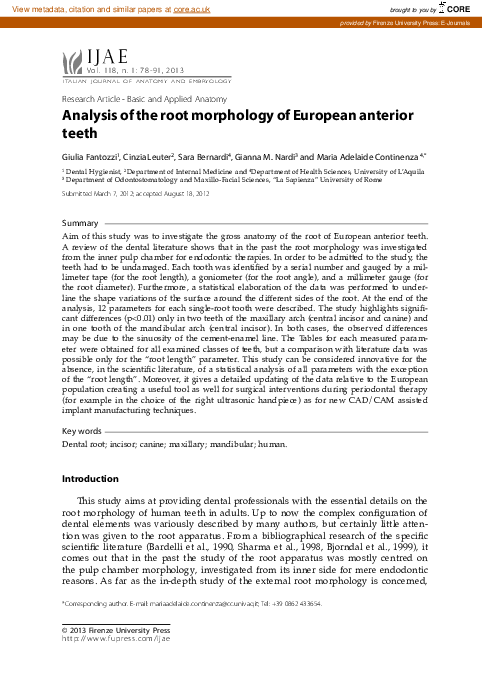 (PDF) Analysis of the root morphology of European anterior teeth