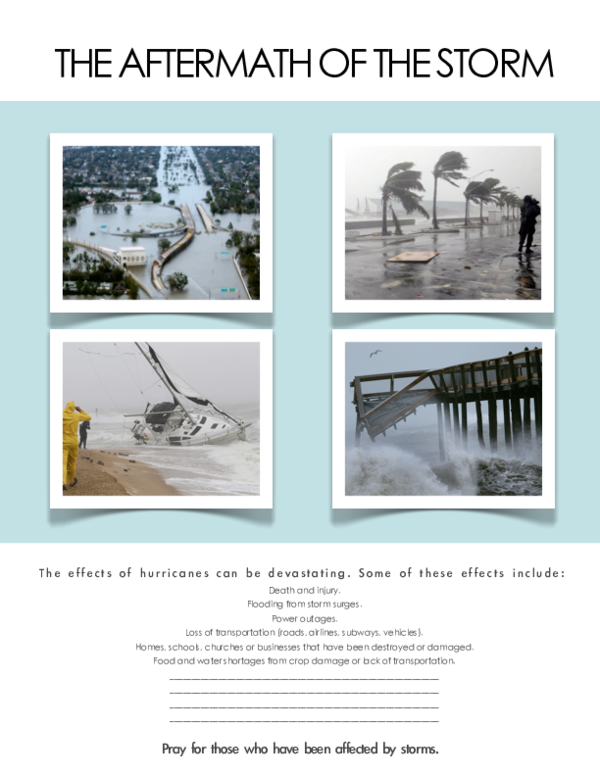 (PDF) The aftermath of the storm?