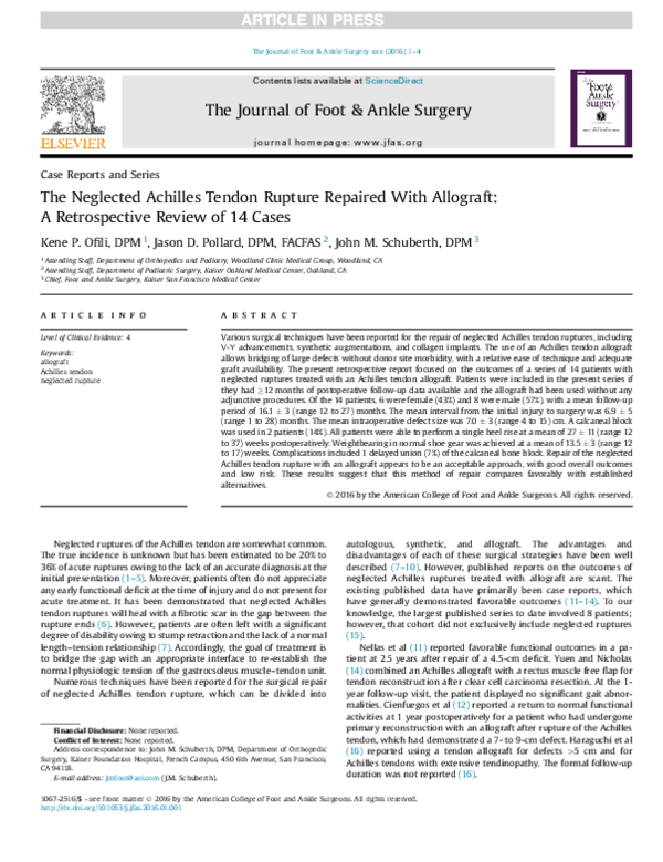 (PDF) The Neglected Achilles Tendon Rupture Repaired With Allograft: A ...