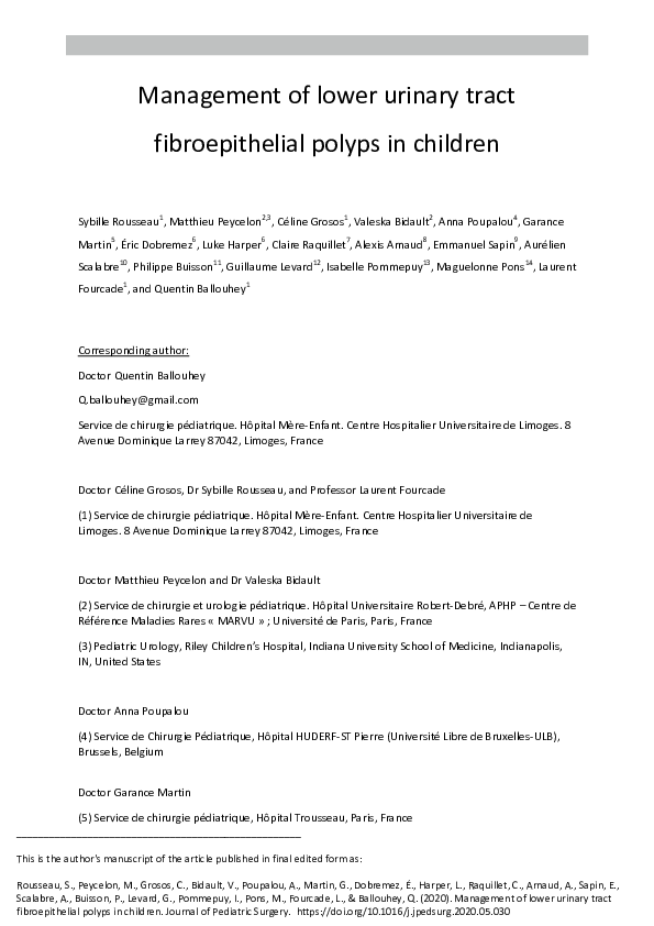 (PDF) Management of lower urinary tract fibroepithelial polyps in children