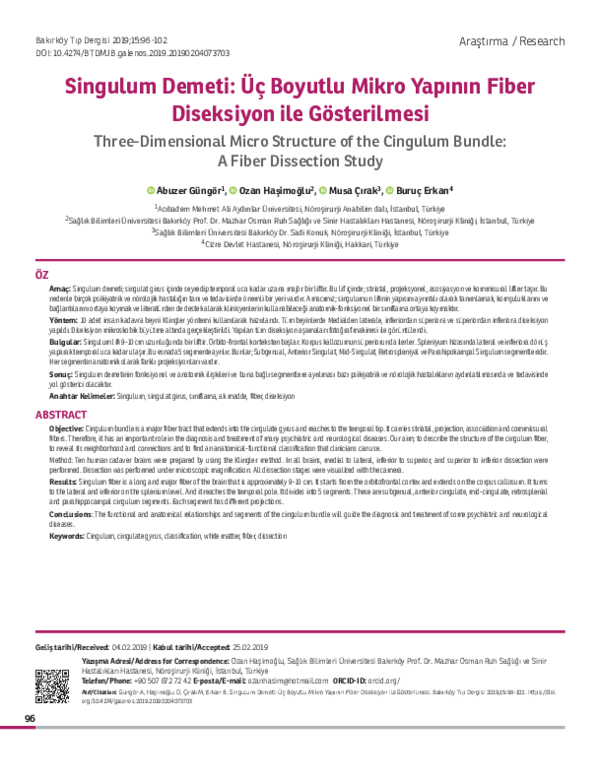 (PDF) Dimensional Micro Structure of the Cingulum Bundle: A Fiber ...