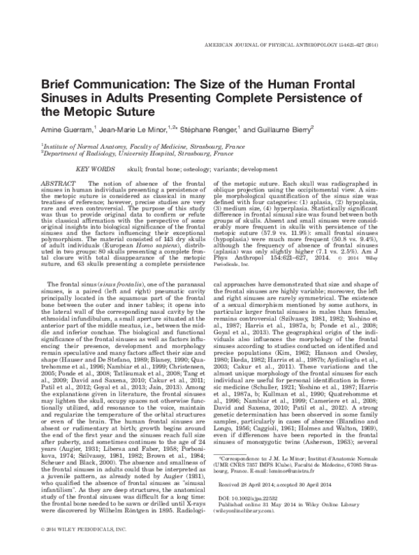 (PDF) Brief communication: The size of the human frontal sinuses in ...