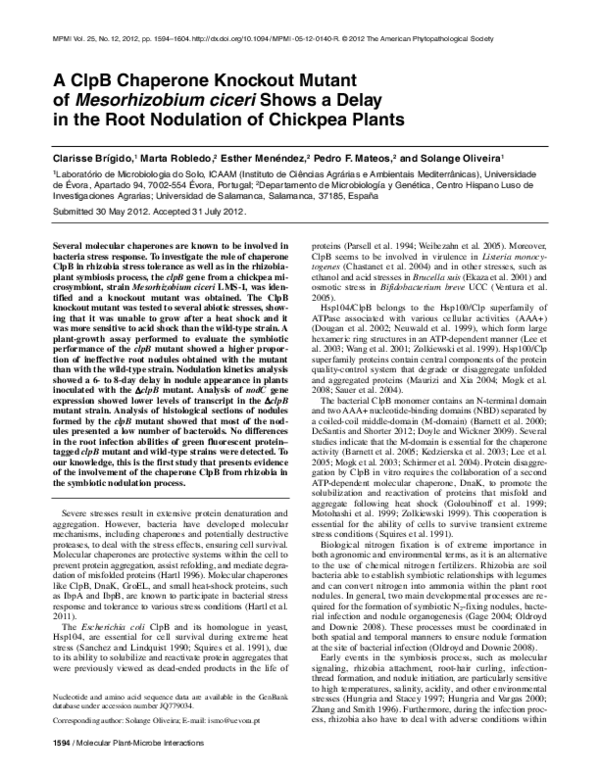 (PDF) A ClpB Chaperone Knockout Mutant of Mesorhizobium ciceri Shows a ...