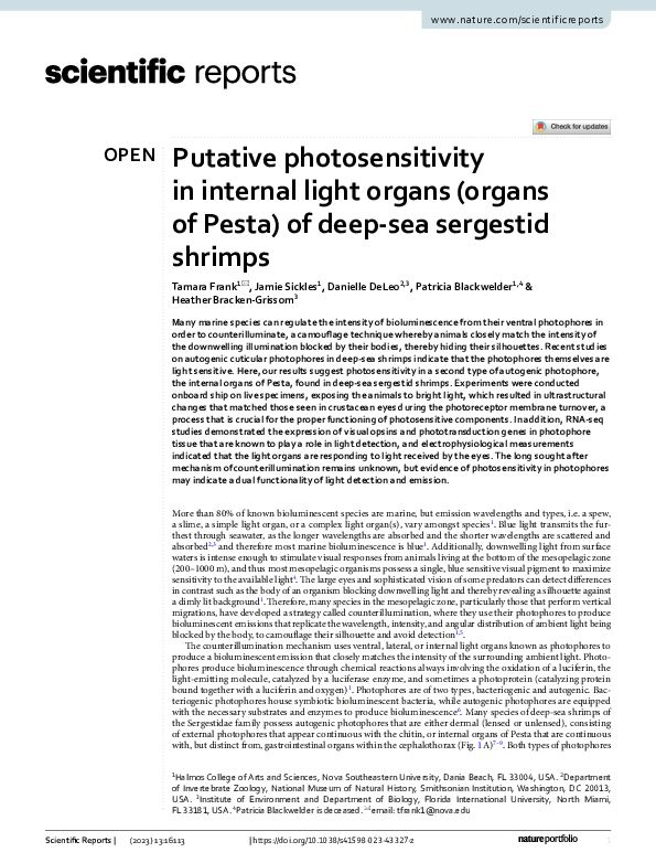 (PDF) Putative photosensitivity in internal light organs (organs of ...