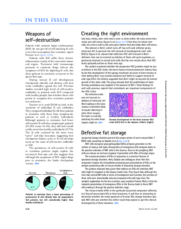 (PDF) Creating the right environment