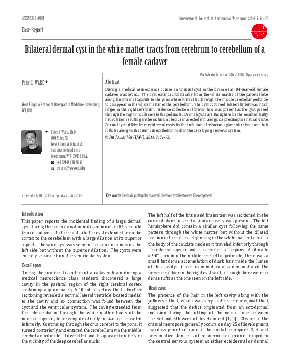 (PDF) Bilateral dermal cyst in the white matter tracts from cerebrum to ...