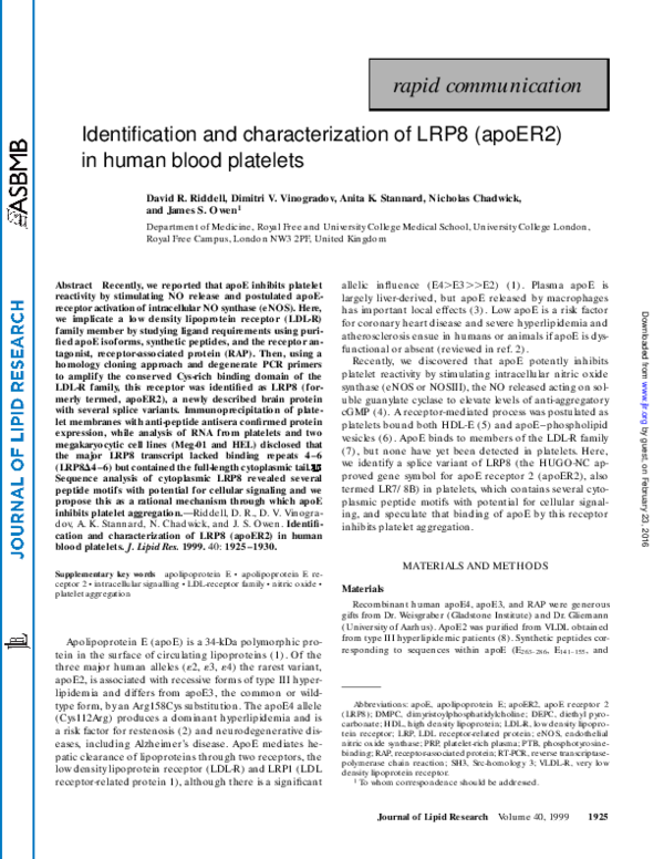 Identification and characterization of LRP8 (apoER2) in human blood ...