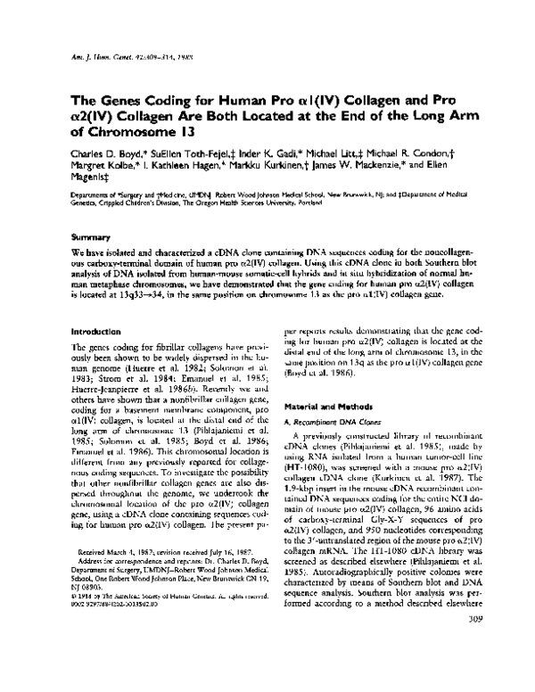 (PDF) The genes coding for human pro alpha 1(IV) collagen and pro alpha ...