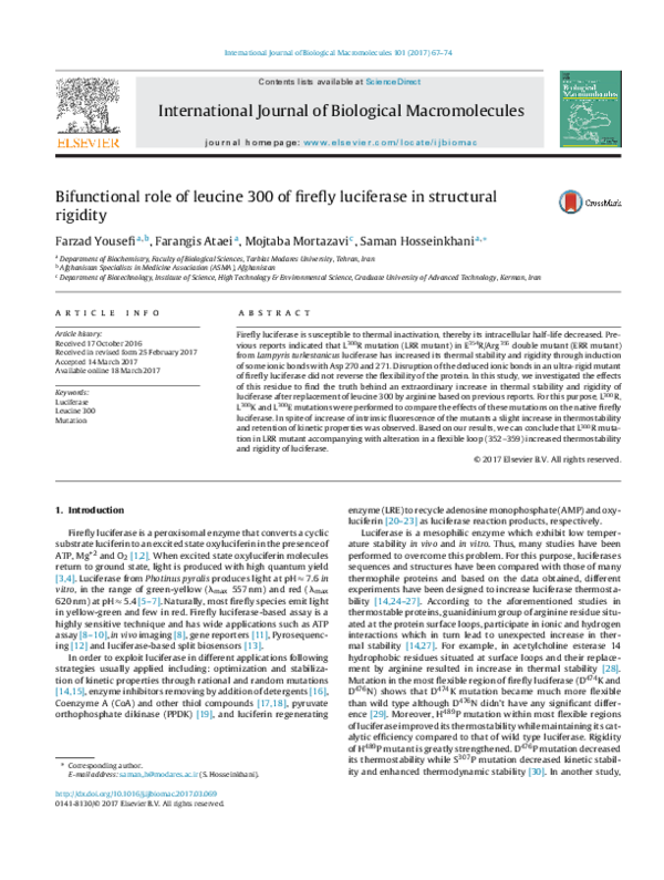 (PDF) Bifunctional role of leucine 300 of firefly luciferase in ...