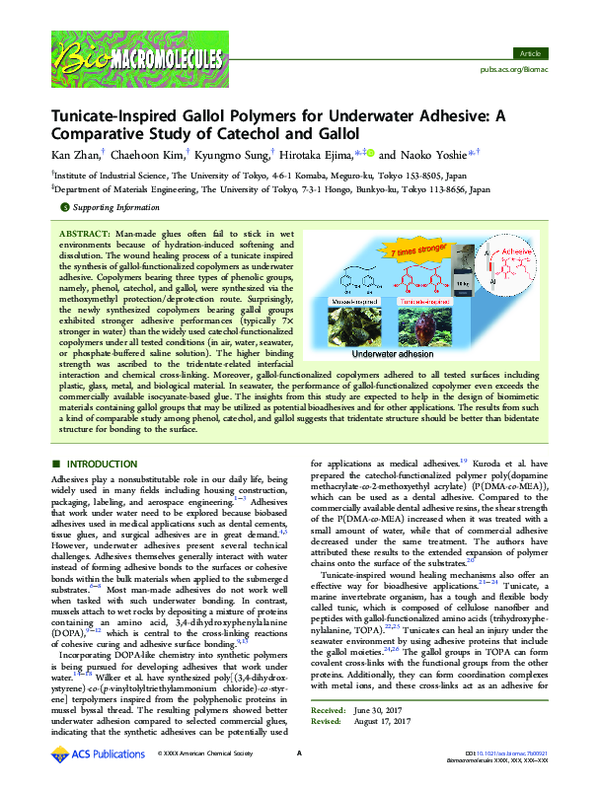(PDF) Tunicate-Inspired Gallol Polymers for Underwater Adhesive: A ...