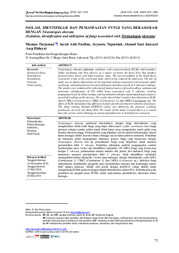 (PDF) PEMANFAATAN EKTOMIKORIZA YANG BERASOSIASI DENGAN FUNGI PELAWAN PADA PERTUMBUHAN STEK PUCUK ...