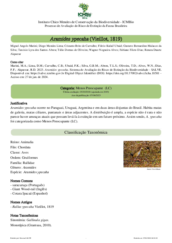 (PDF) Ficha de Aramides ypecaha