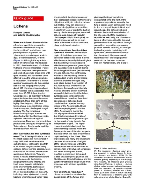 (PDF) Lichens