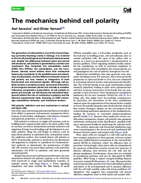 (PDF) The mechanics behind cell polarity