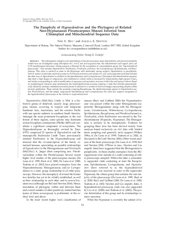 (PDF) The Paraphyly of Hypnodendron and the Phylogeny of Related Non ...
