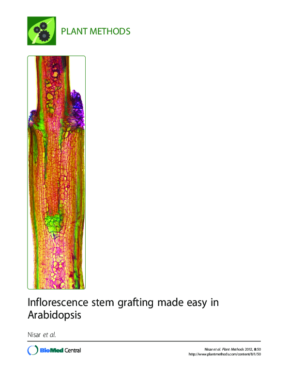 (PDF) Inflorescence stem grafting made easy in