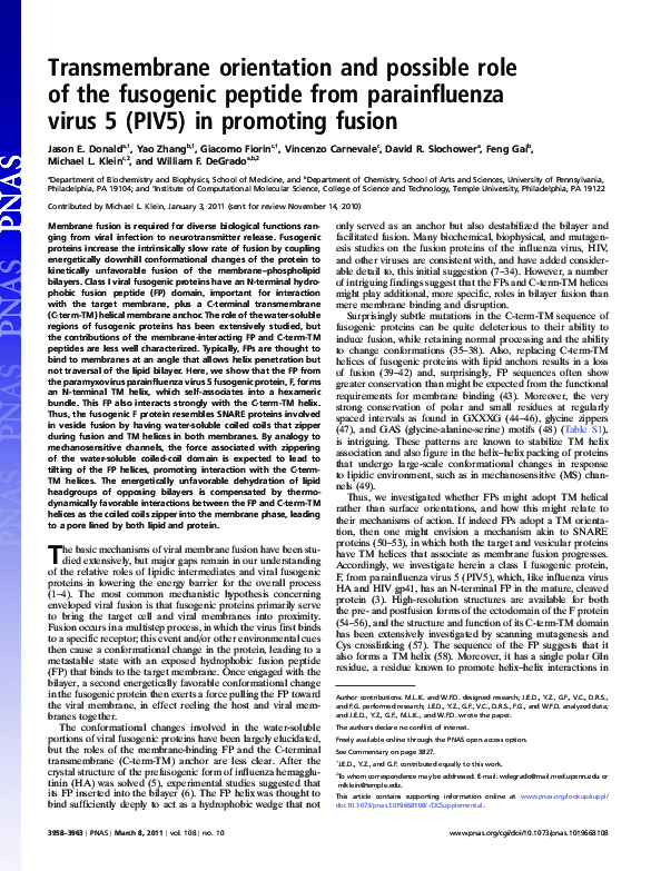 (PDF) Transmembrane orientation and possible role of the fusogenic ...