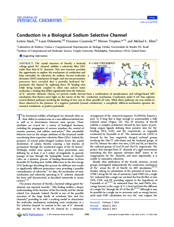 (PDF) Conduction in a Biological Sodium Selective Channel