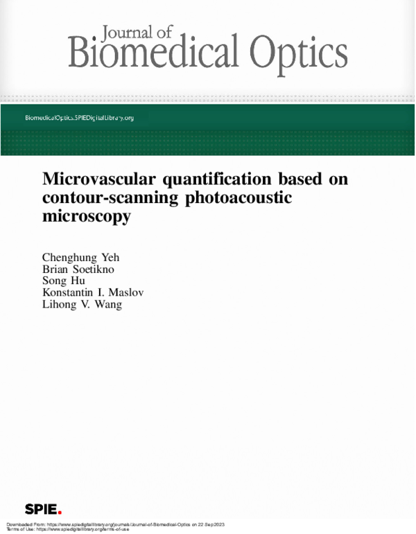 (PDF) Microvascular quantification based on contour-scanning ...