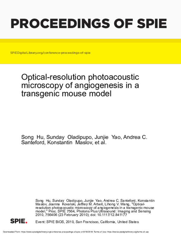 (PDF) Optical-resolution photoacoustic microscopy of angiogenesis in a ...