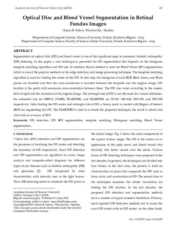 (PDF) Optical Disc and Blood Vessel Segmentation in Retinal Fundus Images