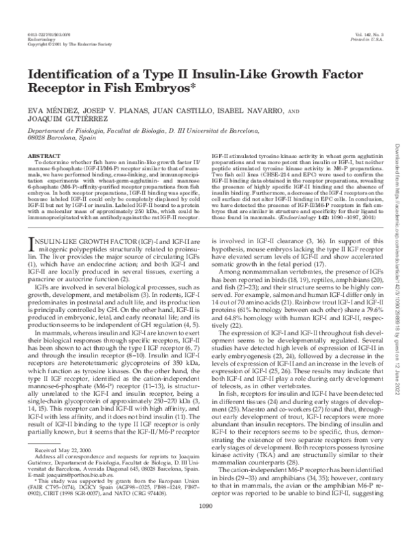 (PDF) Identification of a Type II Insulin-Like Growth Factor Receptor ...