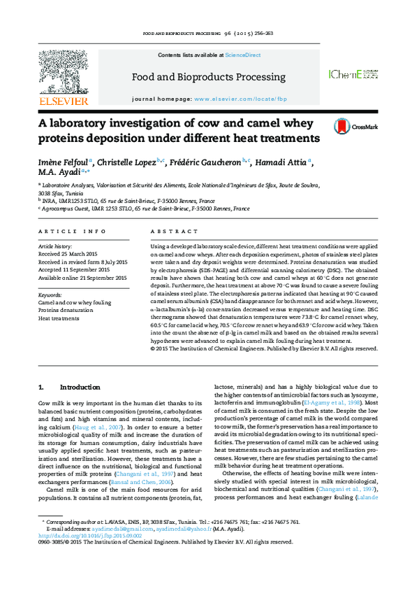 (PDF) A laboratory investigation of cow and camel whey proteins ...