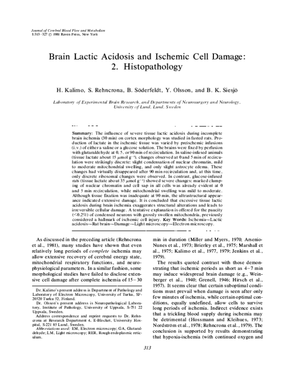 (PDF) Brain Lactic Acidosis and Ischemic Cell Damage: 2. Histopathology