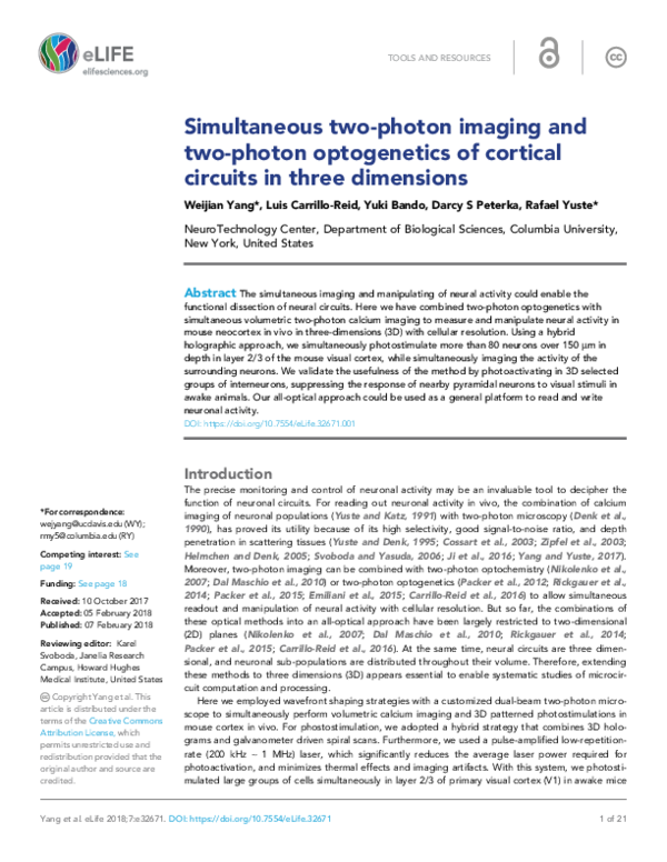 (PDF) Simultaneous two-photon imaging and two-photon optogenetics of cortical circuits in three ...